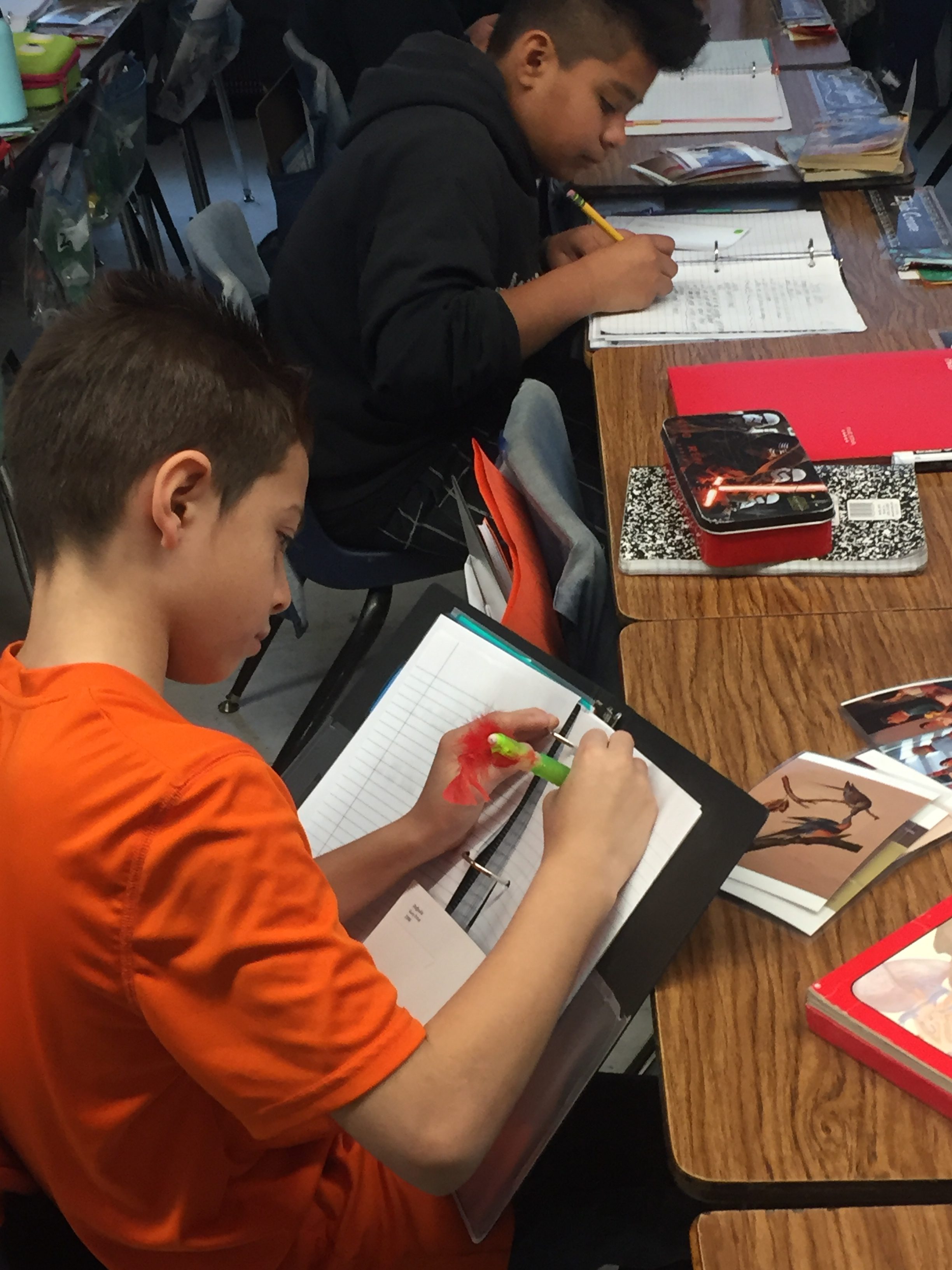 Lessons in Writer’s Workshop Curriculum – Multiple Narratives