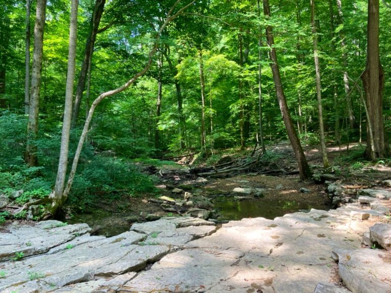 Bedrock meandering rivers field work – CC Geomorphology